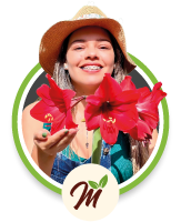 Contacto y ubicaciones - Mi Matica Vivero Boutique